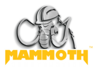 Construction Management Construction Projects - Mammoth Construction